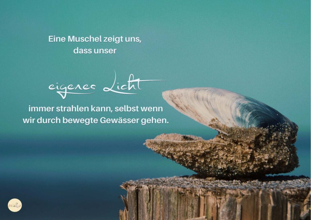 Eine Muschel zeigt uns, dass unser eigenes Licht immer strahlen kann ...